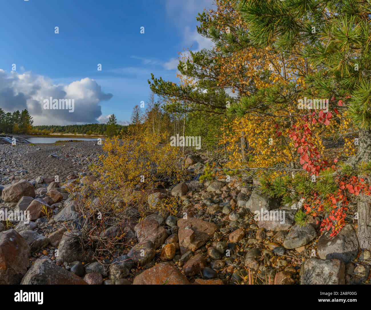 Kajosaari island, lake Ladoga, Karelia, Russia. 05.10, 2019 Stock Photo ...