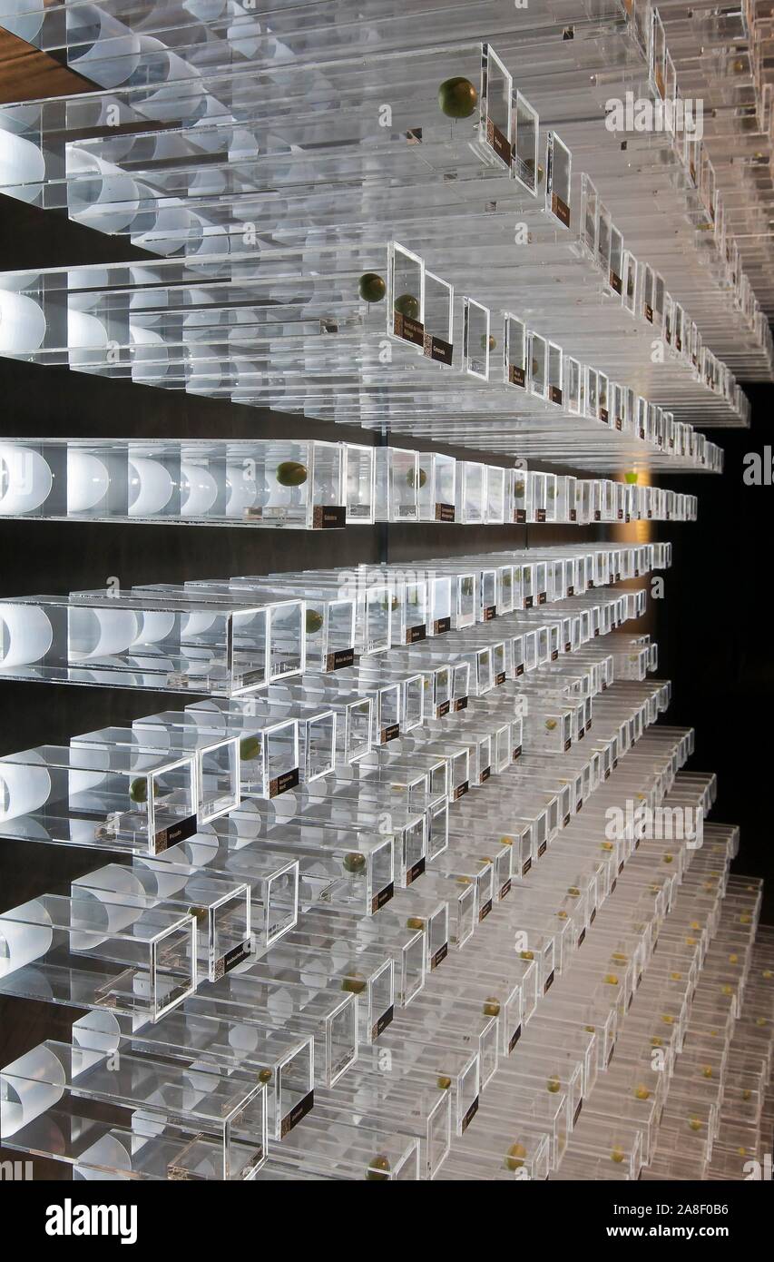 TERRA OLEUM, Olive oil museum - varieties of olive tree, Mengibar, Jaen ...
