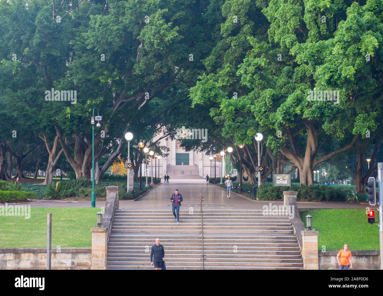 People Walking Through Hyde Park In Sydney Stock Photo - Alamy