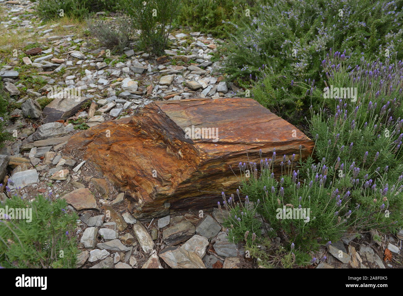 Rock art pattern hi-res stock photography and images - Alamy