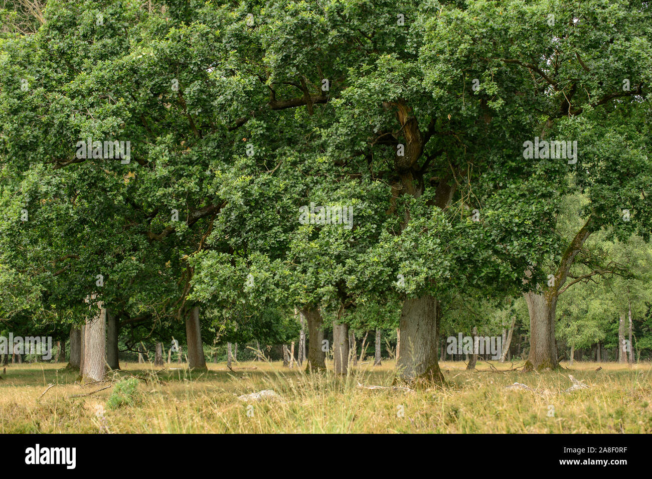 Season change same location hi-res stock photography and images - Alamy