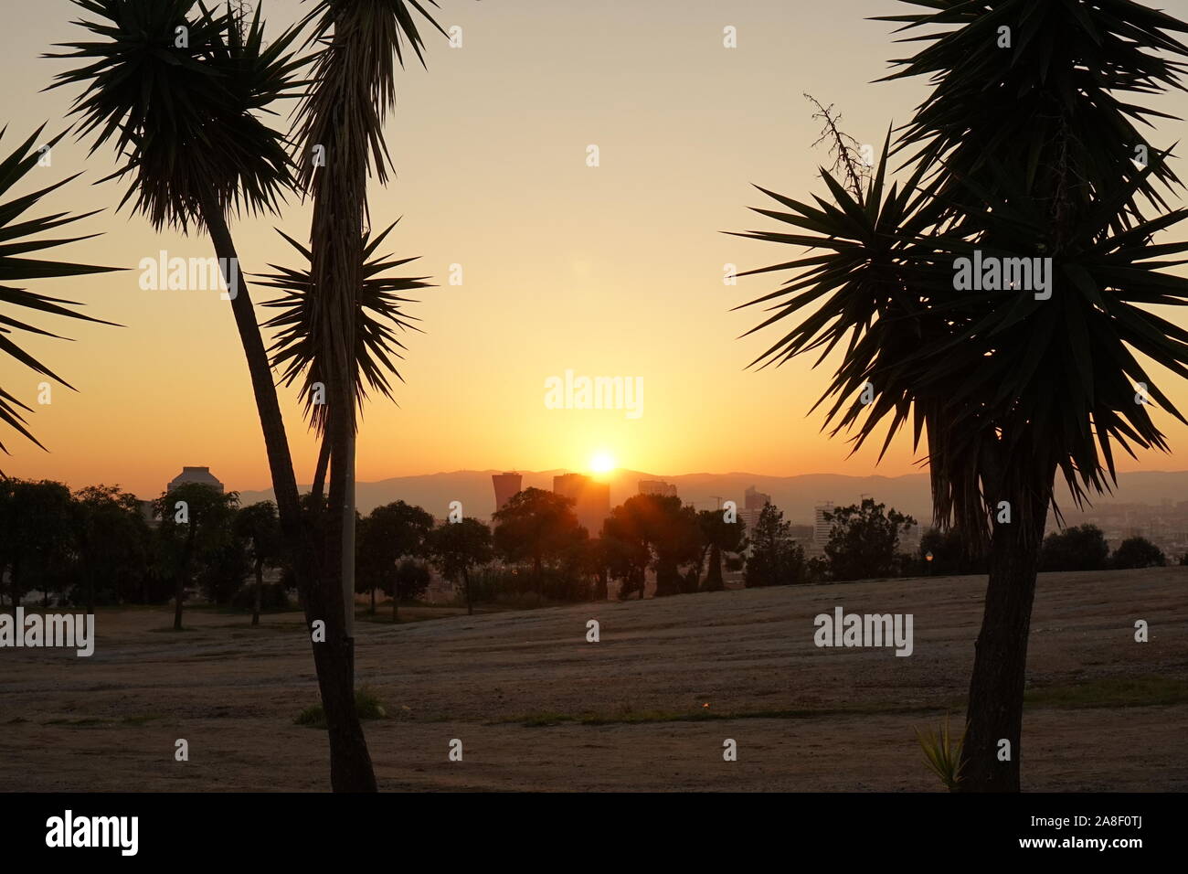 Edge city trees set hi-res stock photography and images - Alamy