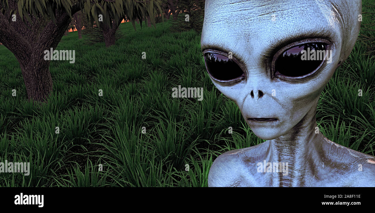 Alien Grey Humanoid Extraterrestrial Being extremely detailed and ...