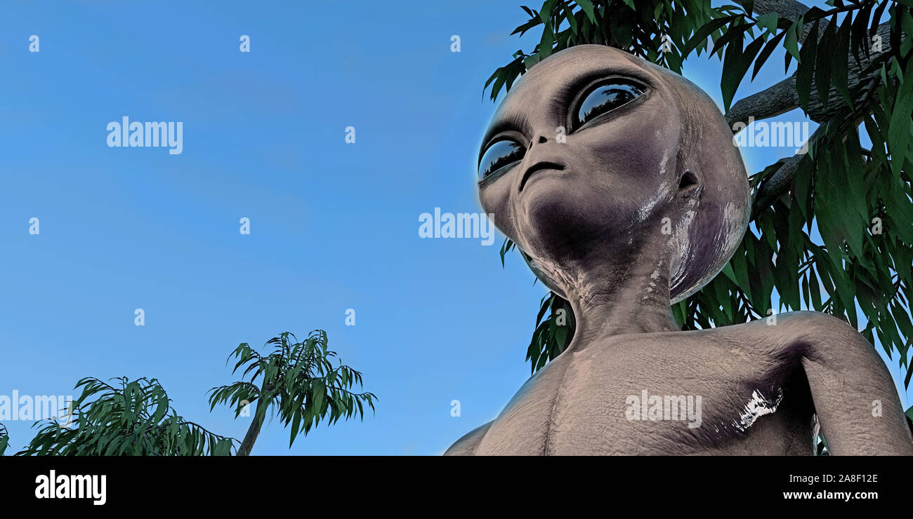 Zeta reticuli hi-res stock photography and images - Alamy