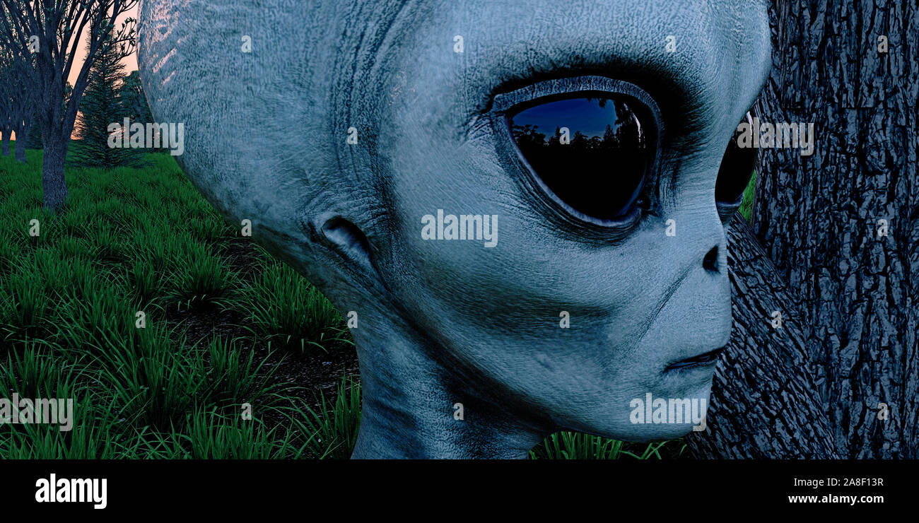 Zeta reticuli hi-res stock photography and images - Alamy