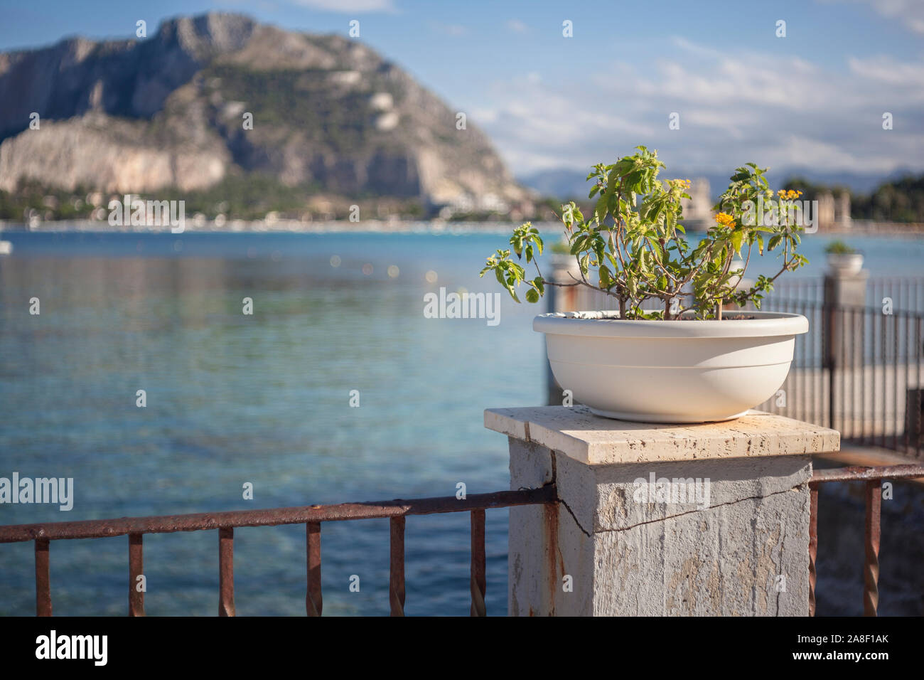 Terrace overlooking the sea Stock Photo - Alamy