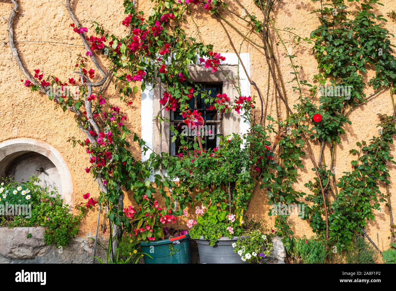 Decorative buildings hi-res stock photography and images - Alamy