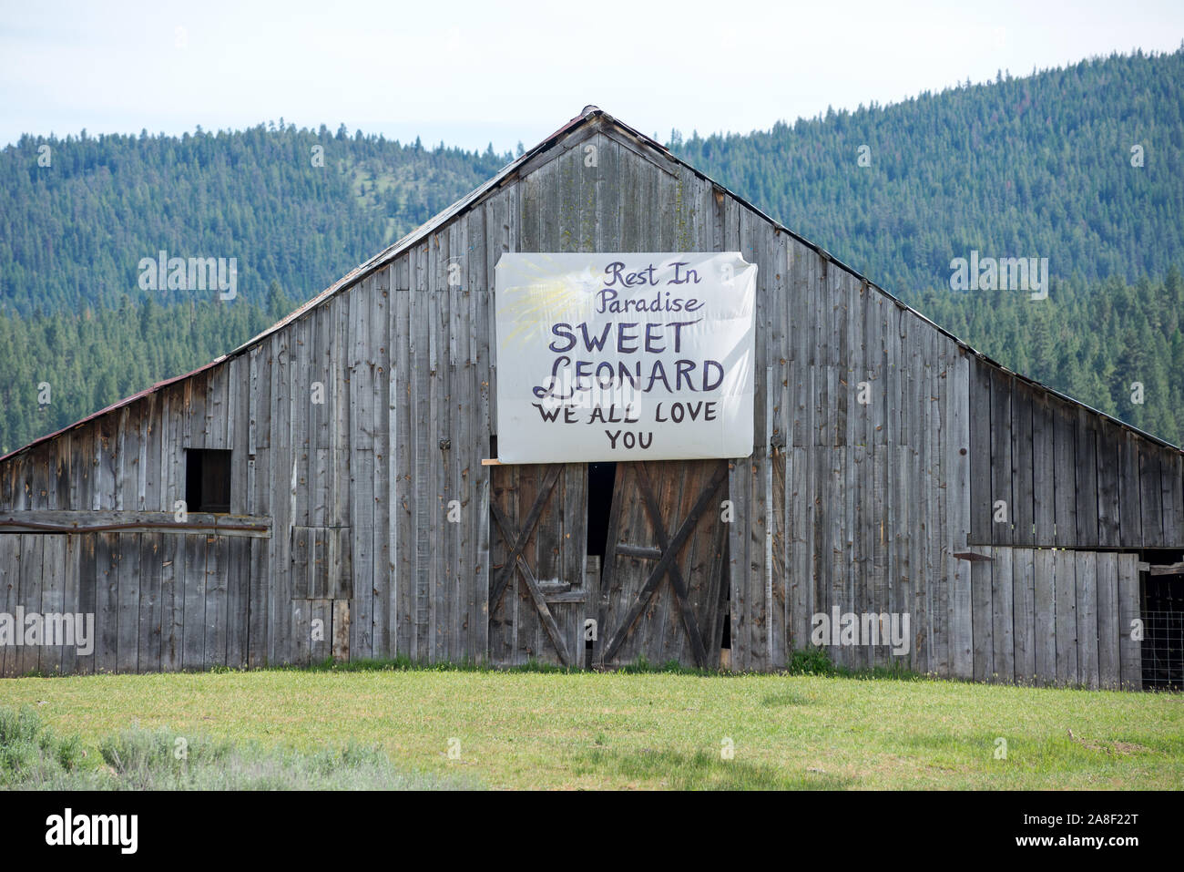 Paradise whitney hi-res stock photography and images - Alamy