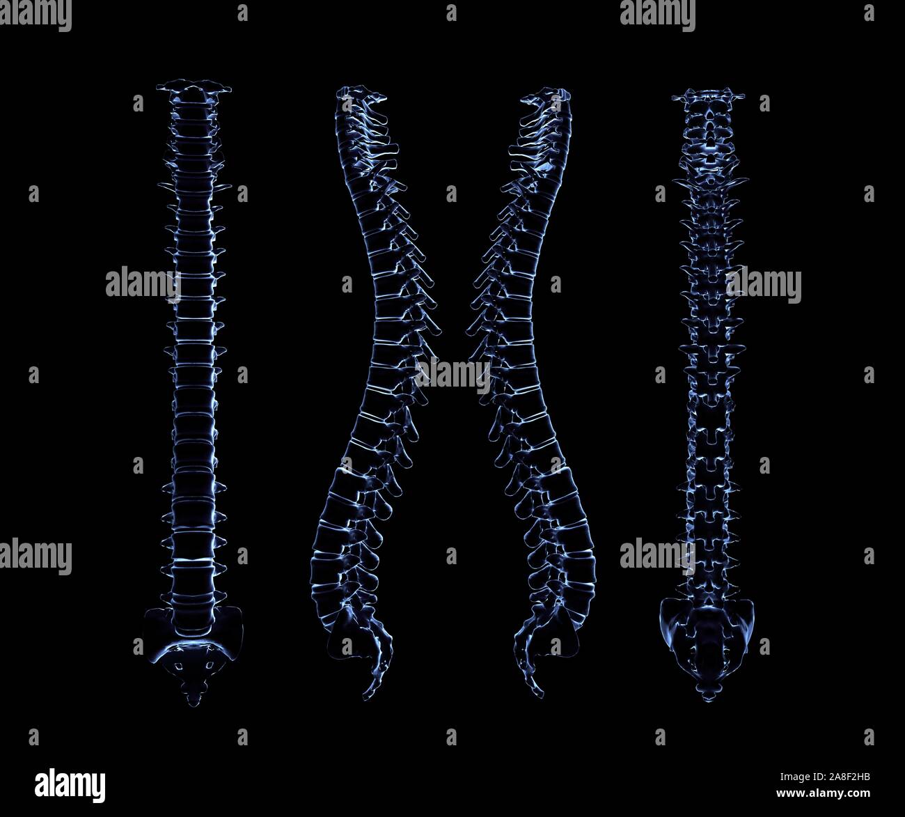 Skeletal human spine on Black 3D Rendering Stock Photo - Alamy