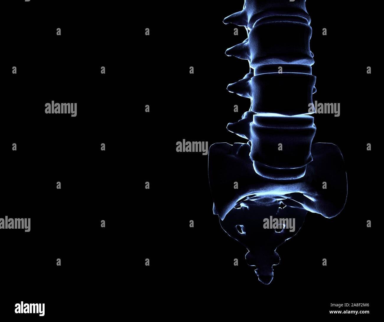 Spine bone bones skeleton anatomy medical back black background ...
