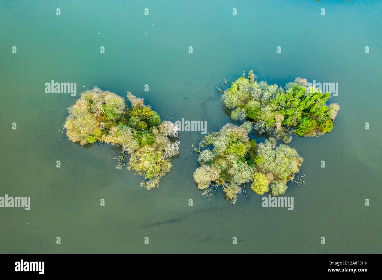 Beautiful Aerial view of the Trentham Gardens Estate and lake, in ...