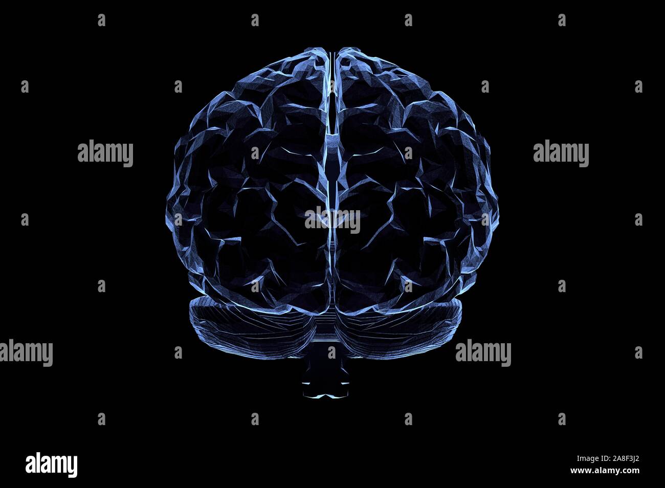 Human Brain Anatomical Model 3D Rendering Stock Photo - Alamy