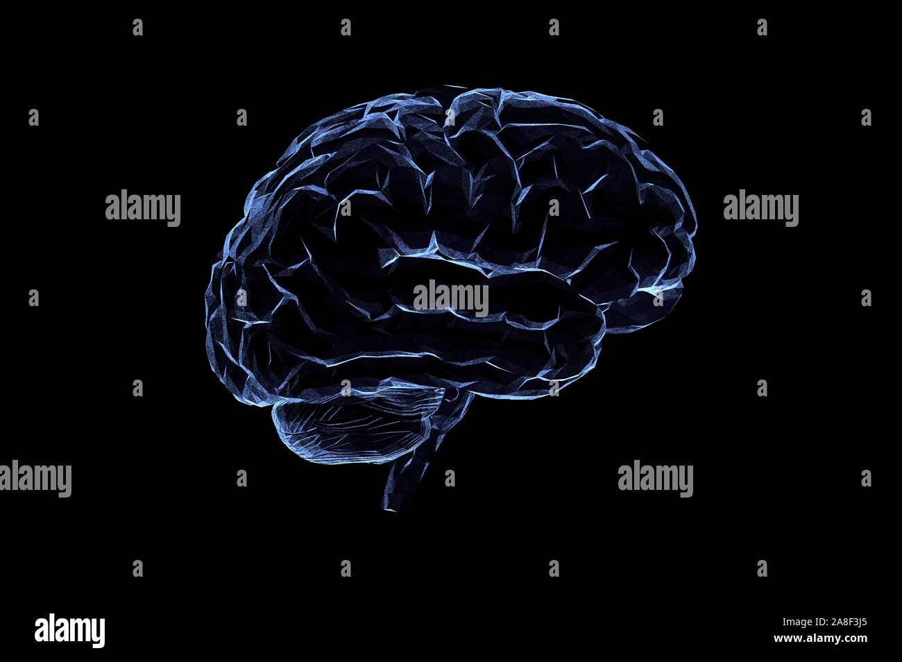 Human Brain Anatomical Model 3D Rendering Stock Photo - Alamy