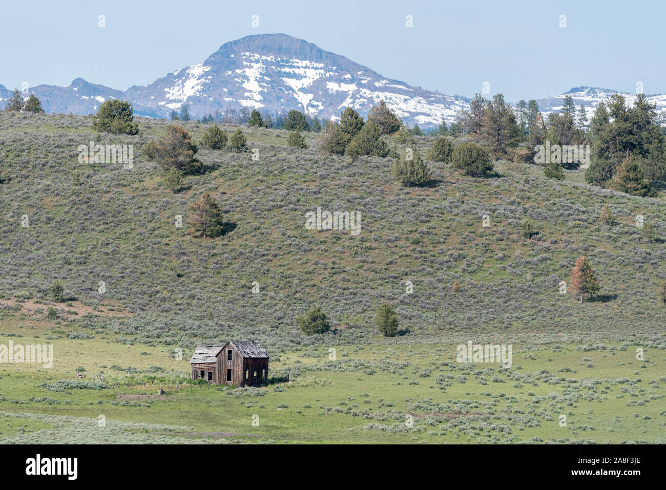 Old homestead oregon usa hi-res stock photography and images - Alamy