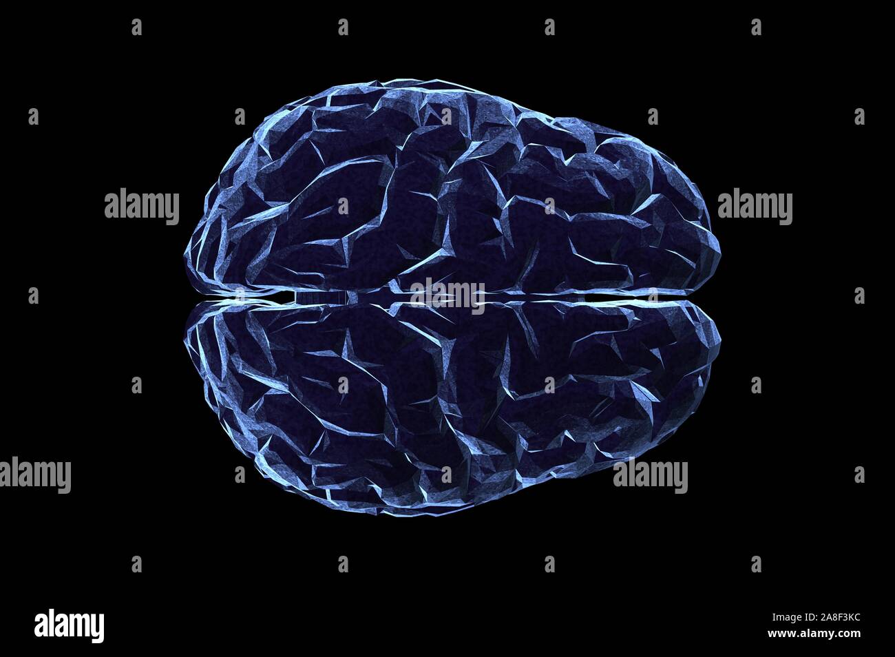 Human Brain Anatomical Model 3D Rendering Stock Photo - Alamy