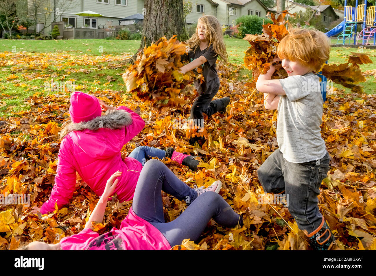 Children playing with leaves in Autumn Stock Photo - Alamy