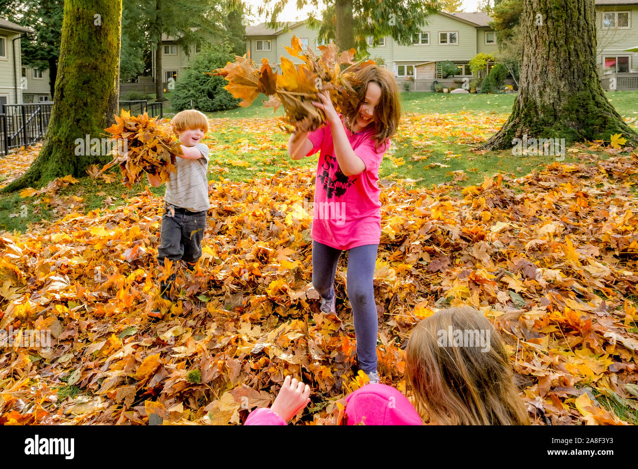 Leaves outside hi-res stock photography and images - Alamy