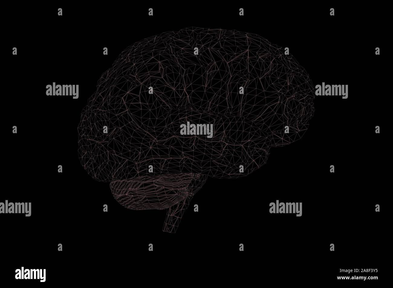 Human Brain Anatomical Model 3D Rendering Stock Photo - Alamy