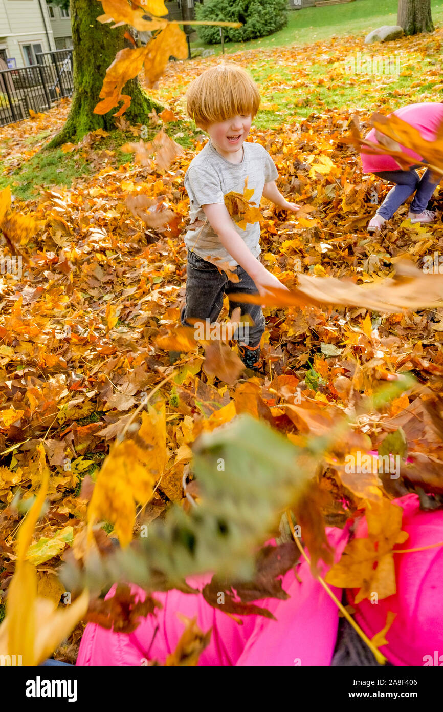 Children playing with leaves in Autumn Stock Photo - Alamy