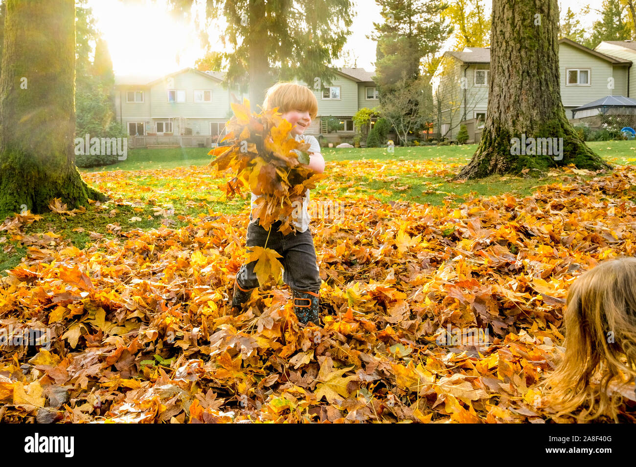 Children playing with leaves in Autumn Stock Photo - Alamy