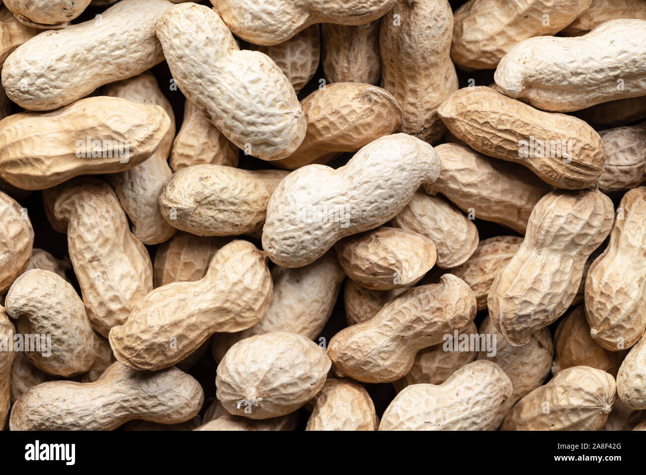 Close up of raw peanuts Stock Photo - Alamy