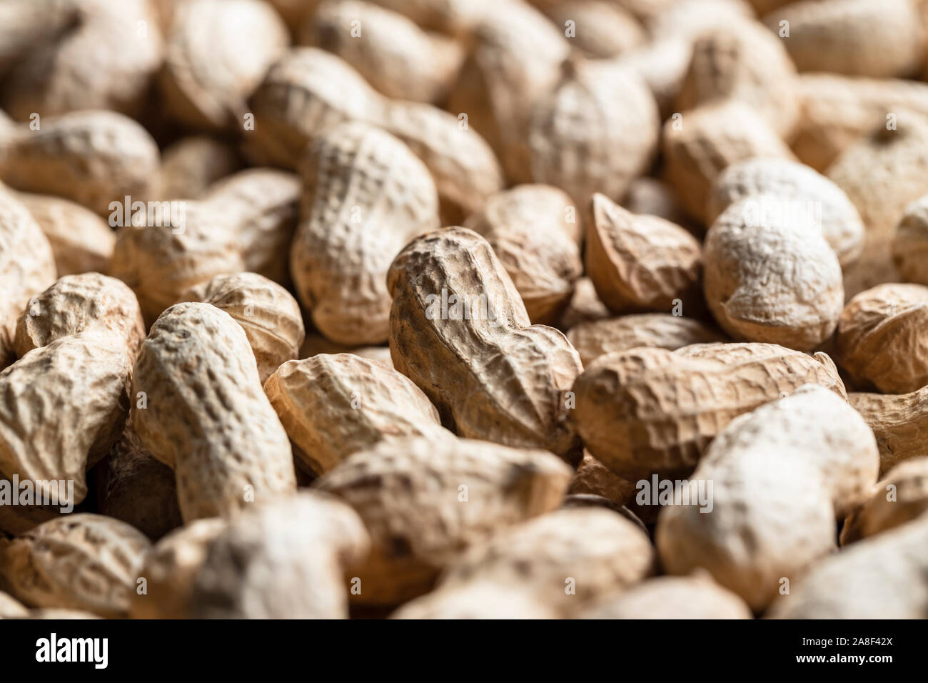Pile of raw peanuts in shells Stock Photo - Alamy