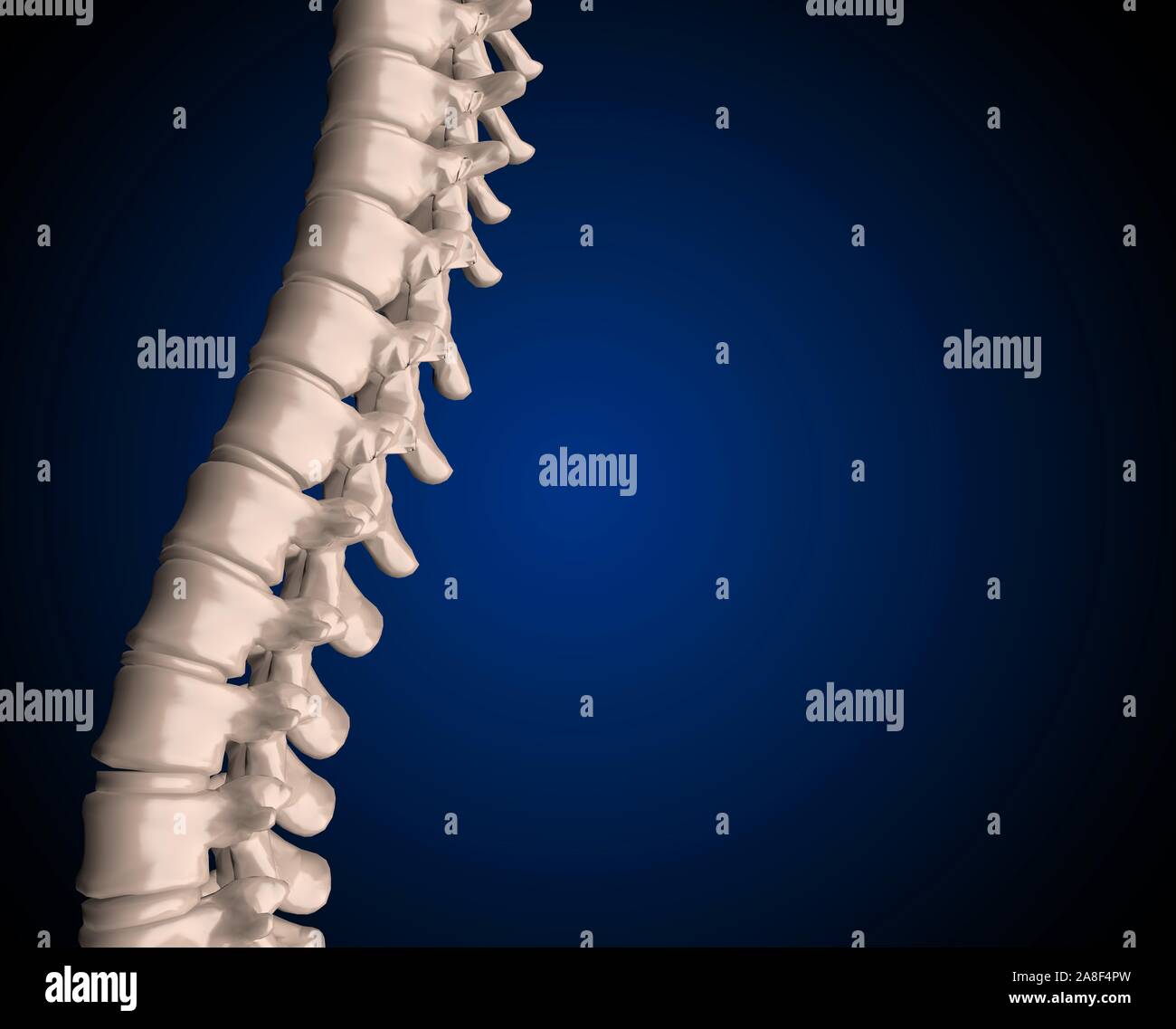 Skeletal human spine on Black 3D Rendering Stock Photo - Alamy