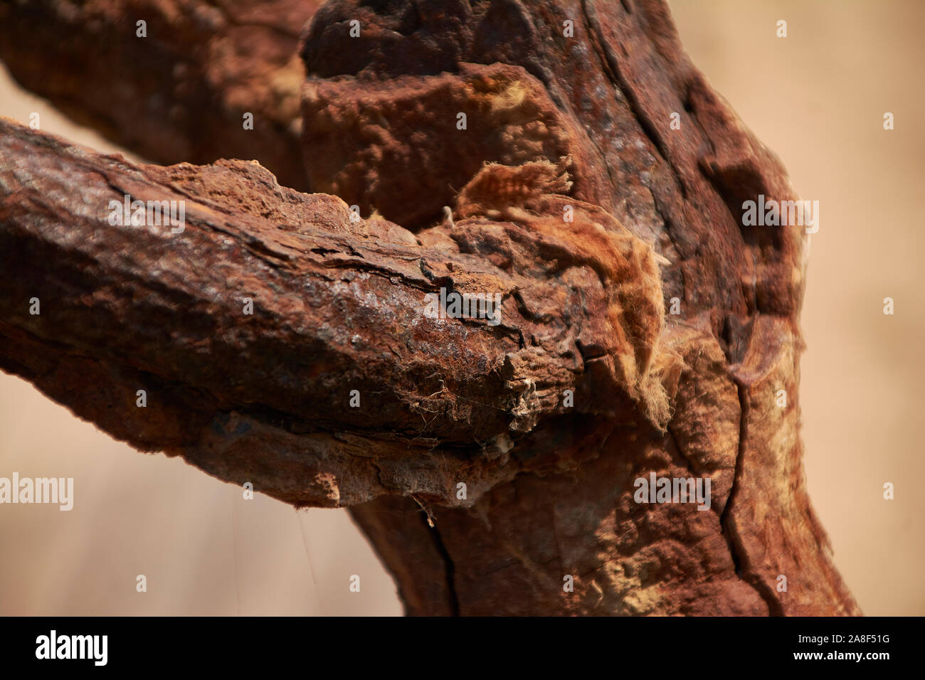 Iron corroded by rust Stock Photo - Alamy