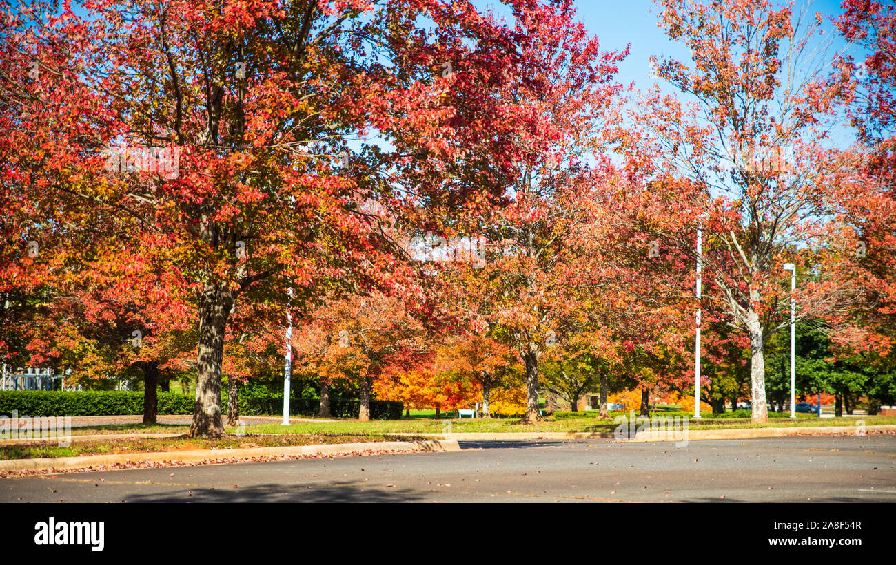 Fall Colors 2019 Tega Cay Fort Mill SC Stock Photo - Alamy