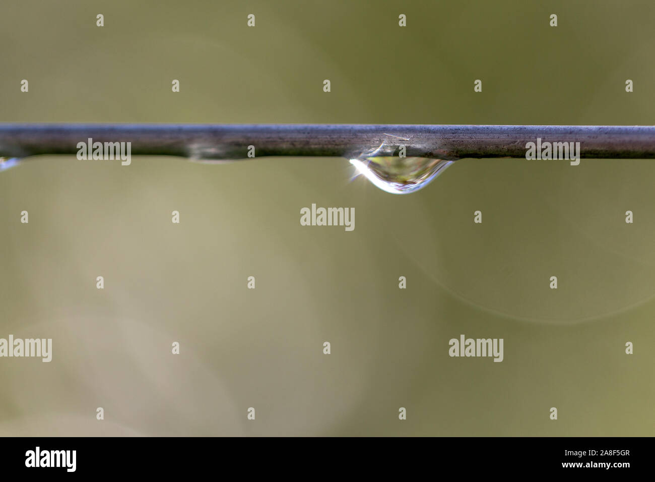 rain drop hanging on an iron wire with a blurred green nature ...