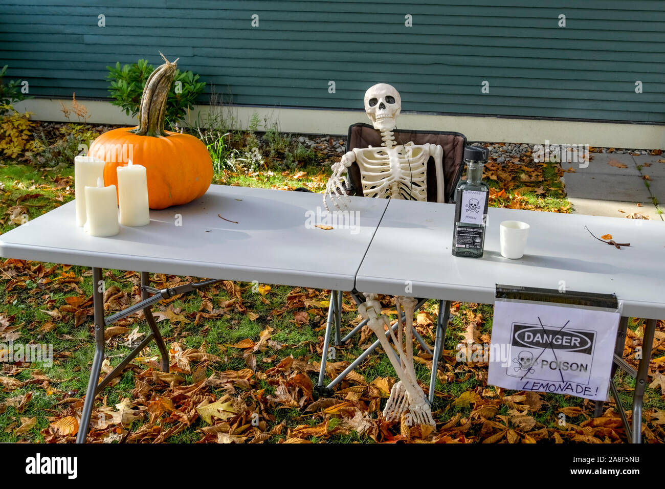 Sitting Skeleton High Resolution Stock Photography and Images - Alamy