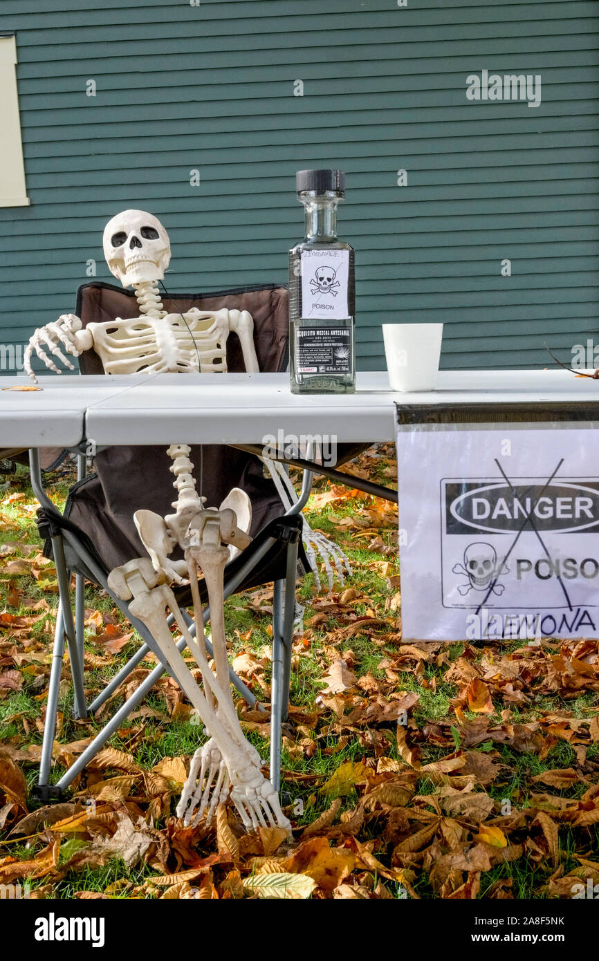 Sitting Skeleton High Resolution Stock Photography and Images - Alamy