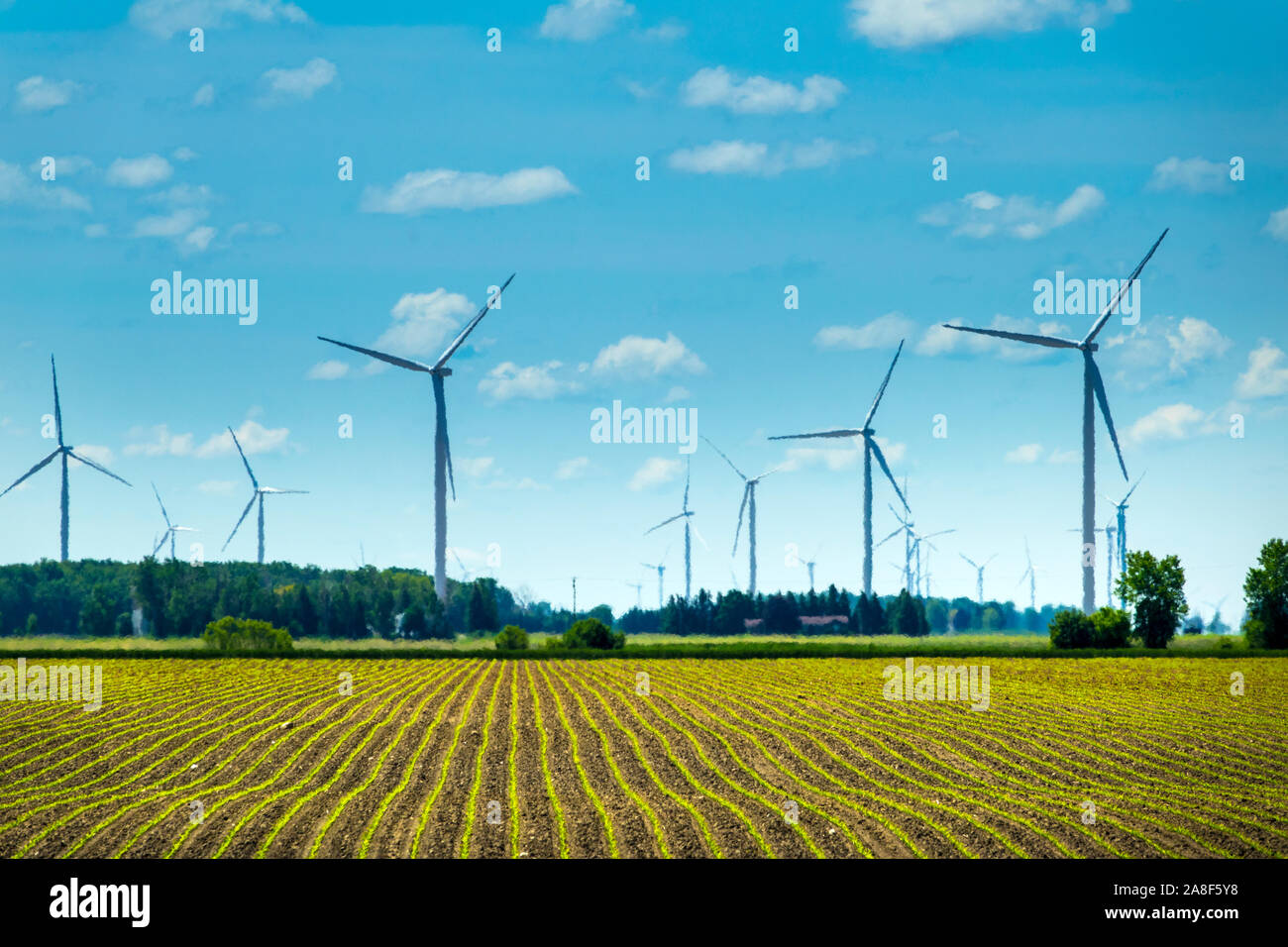 Located in Caseville Michigan in the thumb area of Michigan. A wind ...