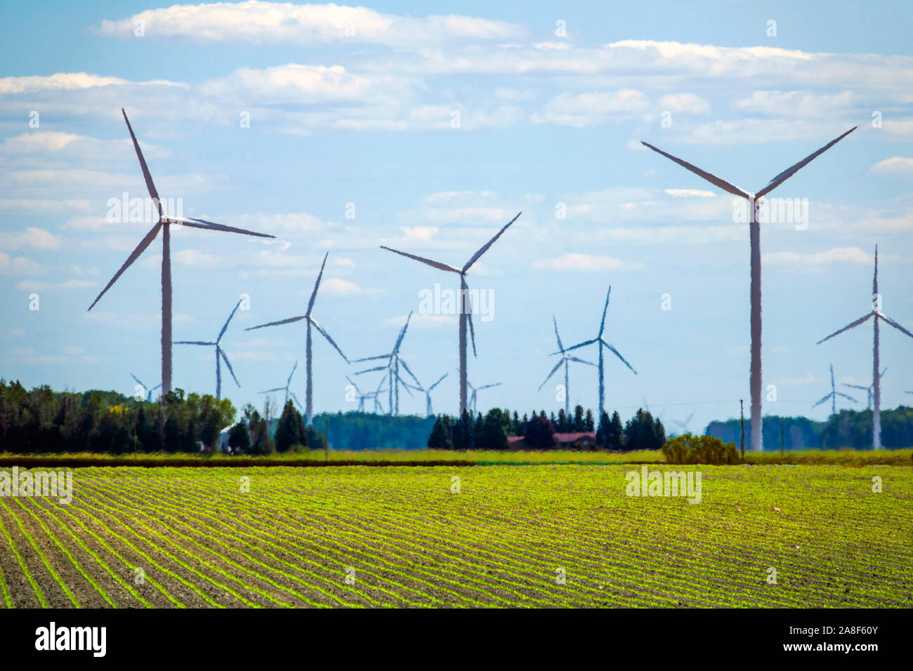 Located in Caseville Michigan in the thumb area of Michigan. A wind ...