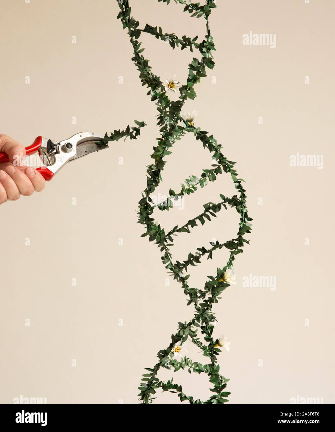 Modifying dna hi-res stock photography and images - Alamy