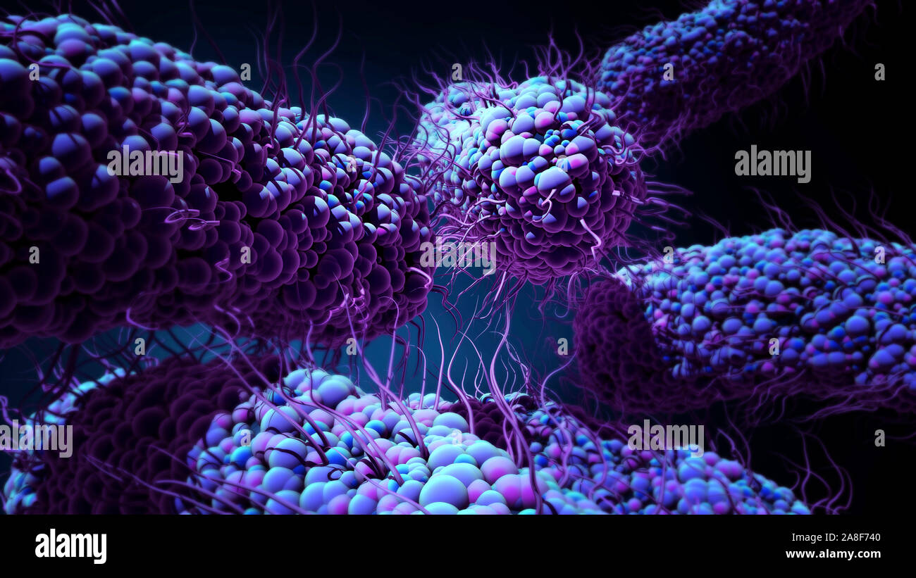 Pilus bacteria hi-res stock photography and images - Alamy