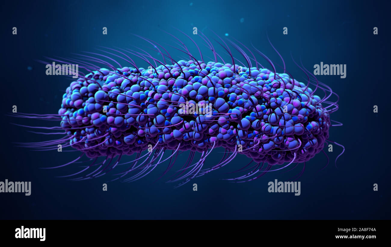 Pilus bacterium hi-res stock photography and images - Alamy