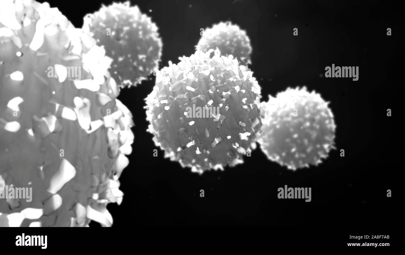 White blood cells, illustration Stock Photo - Alamy