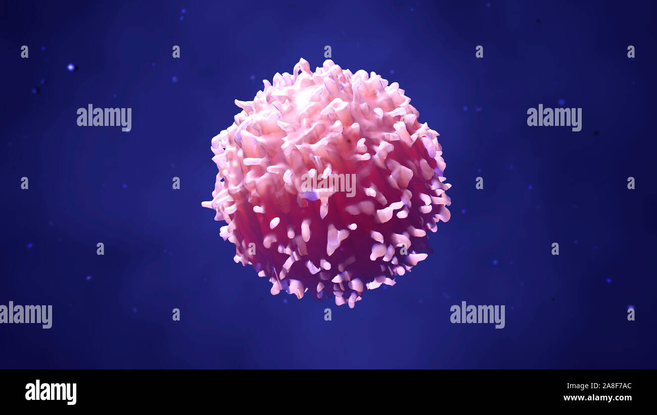 White blood cell, illustration Stock Photo - Alamy