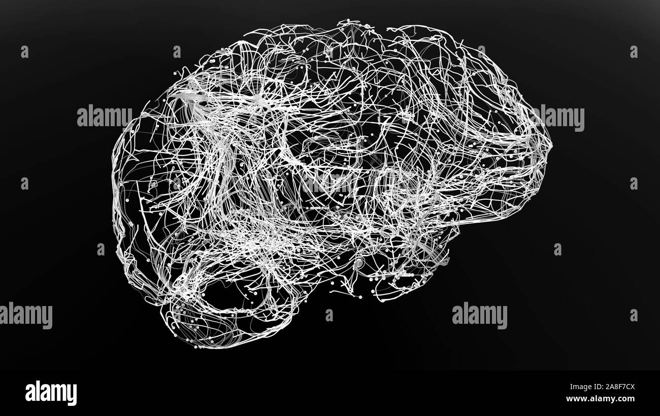 Brain connections, conceptual illustration Stock Photo - Alamy