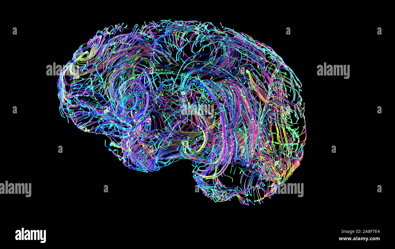 Brain connections, conceptual illustration Stock Photo - Alamy