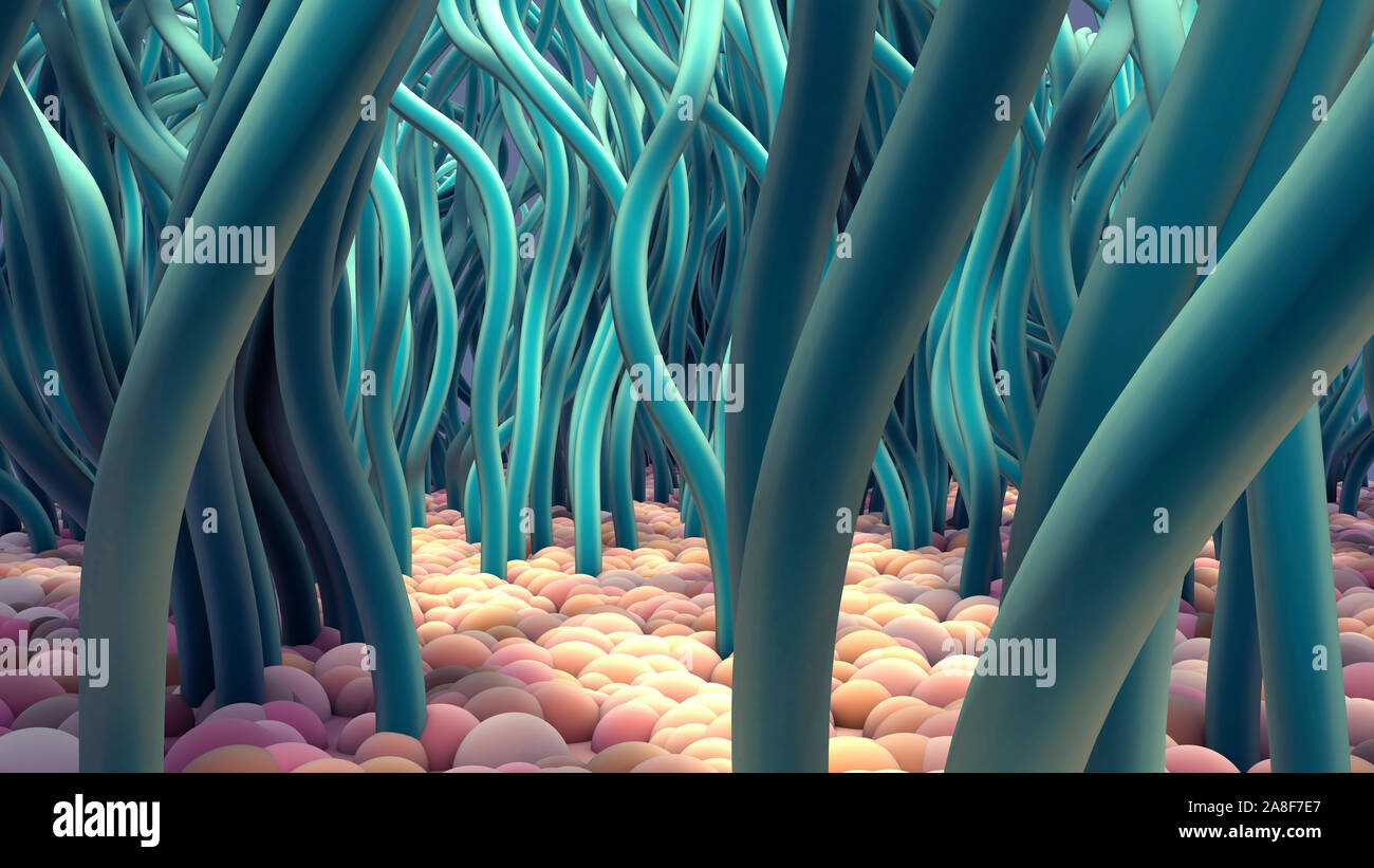 Ciliated cells, illustration Stock Photo - Alamy