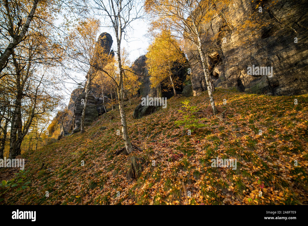 Tyssaer walls in the bohemian switzerland hi-res stock photography and ...