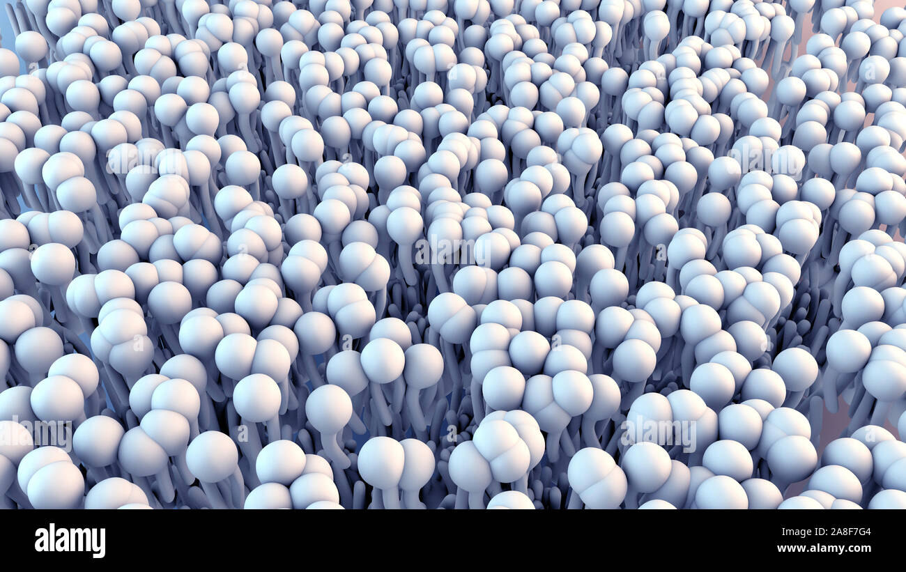 Cell membrane, illustration Stock Photo - Alamy