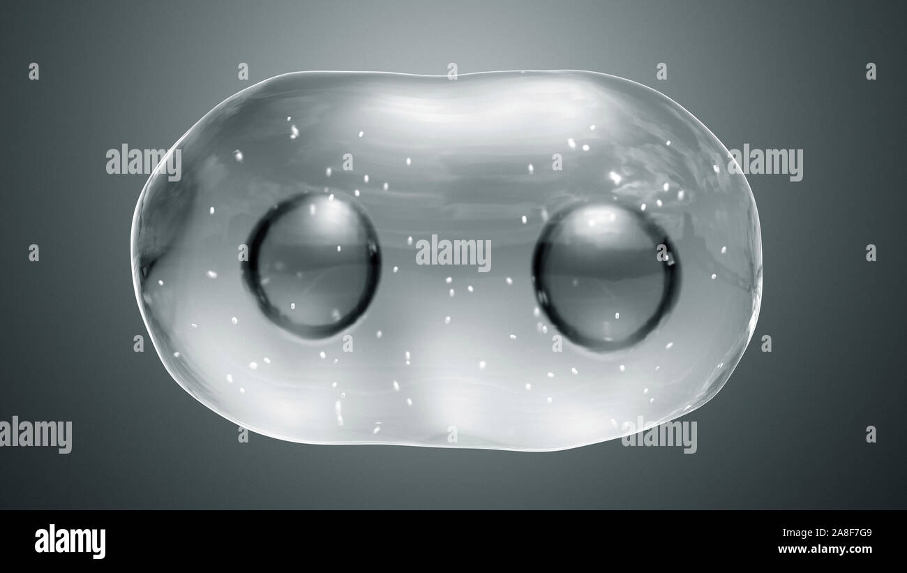 Cell division, illustration Stock Photo - Alamy