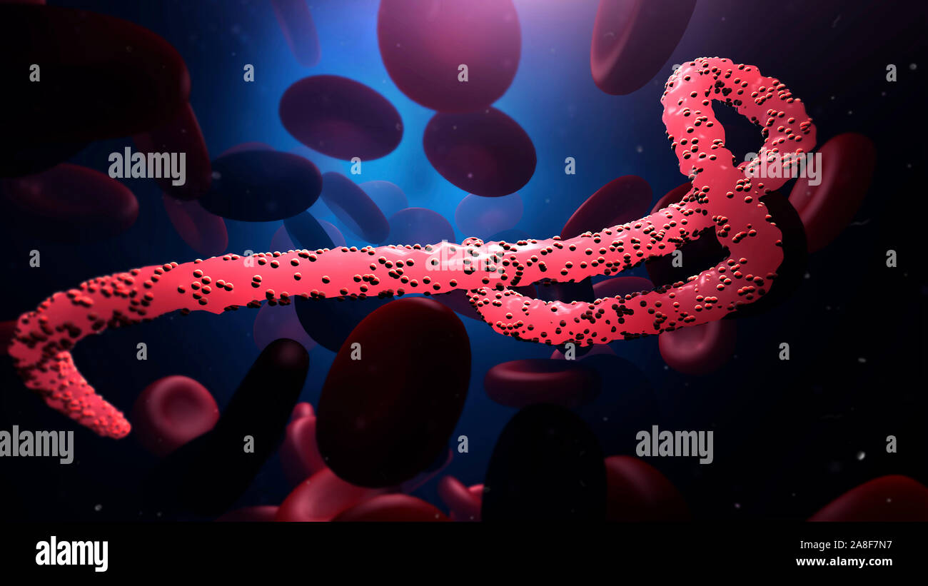 Ebola virus, illustration Stock Photo - Alamy