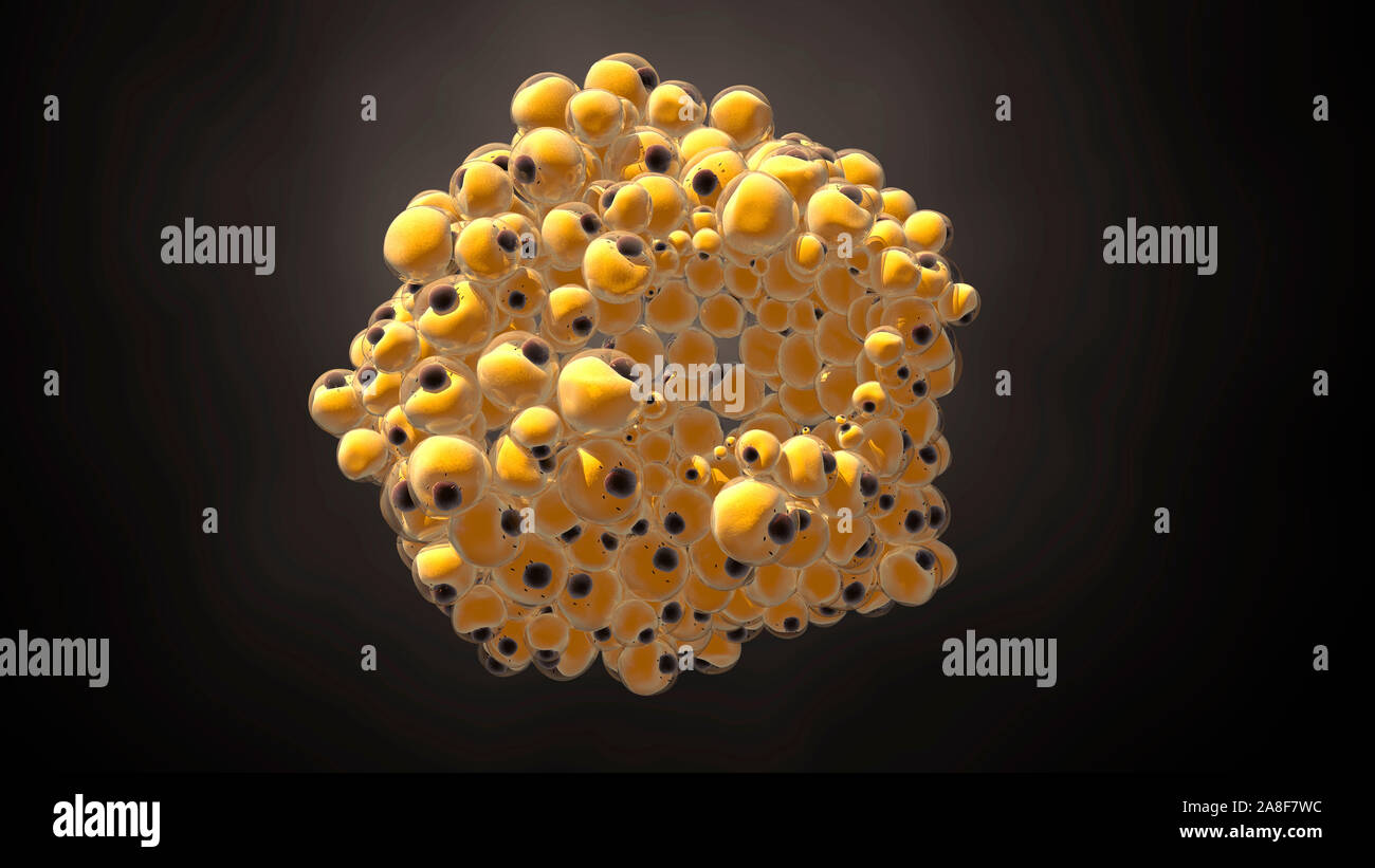 Fat cells, illustration Stock Photo - Alamy