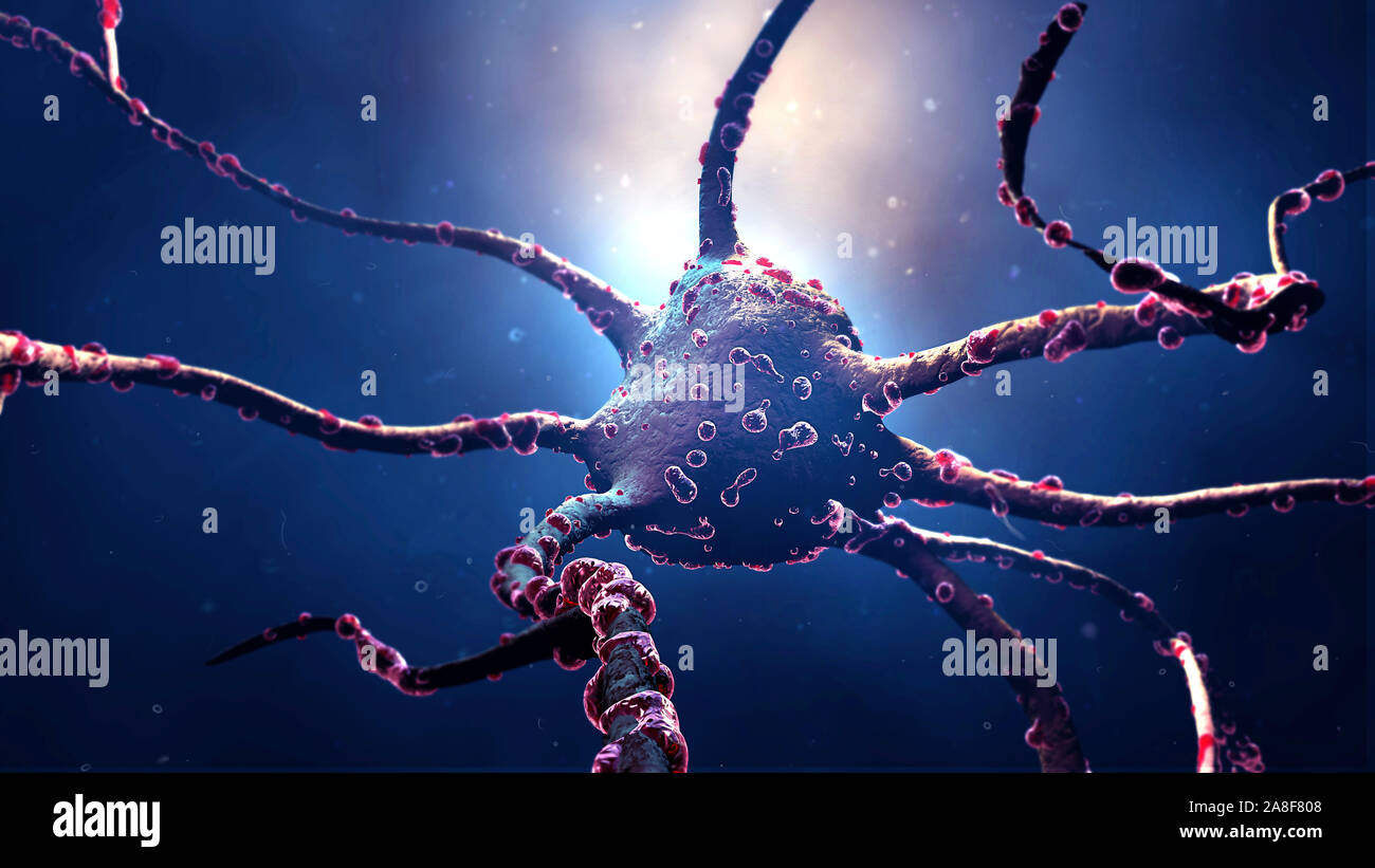 Nerve cell, illustration Stock Photo - Alamy