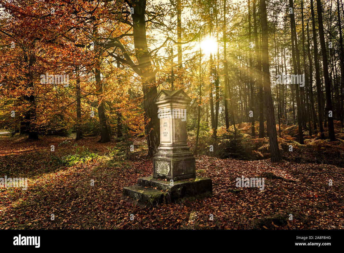 Old Cross on Yellow Trees Background in czech Stock Photo - Alamy