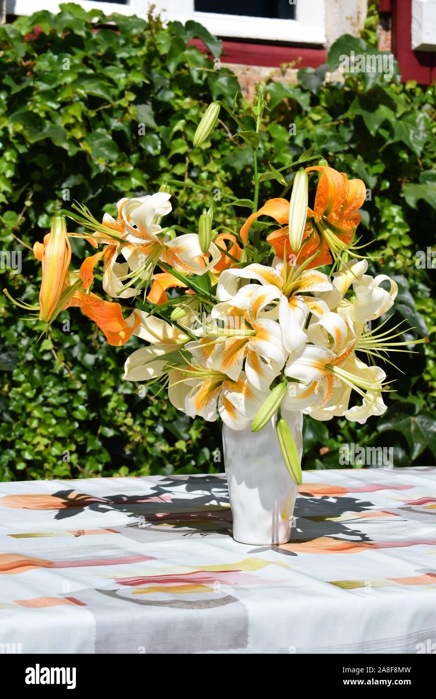 Lady alice lily hi-res stock photography and images - Alamy